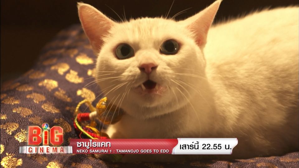 Big Cinema เรื่อง Neko Samurai 1 : tamanojo goes to edo ซามูไรแคท 29 ก.พ.63