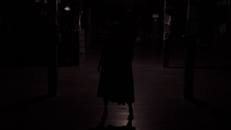 ดูหนัง : มือปราบสัมภเวสี THE LOST CASE