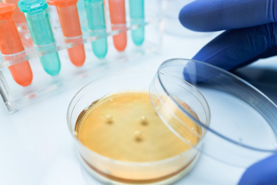 W9 เดินหน้ากลยุทธ์วิจัย-พัฒนา ต่อยอดตรวจจุลินทรีย์ช่องปากแห่งแรกในไทย